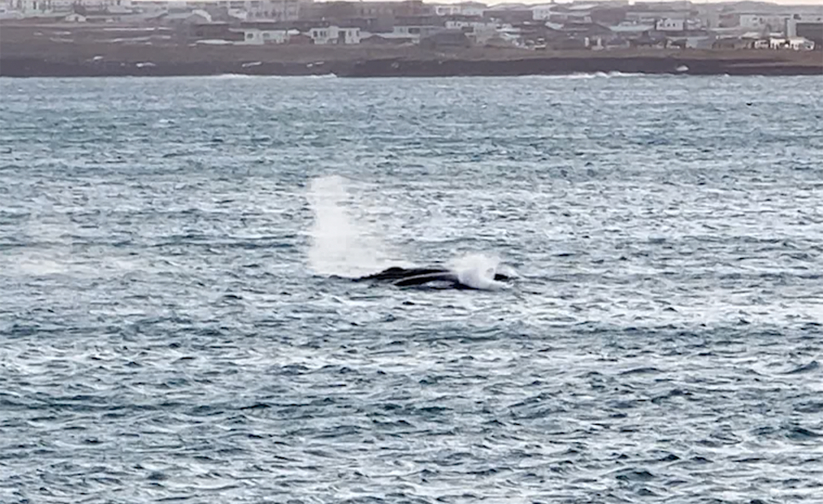 Sjónvarp - Víkurfréttir